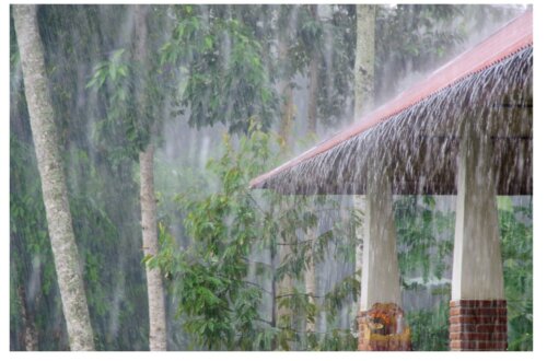 How to Prepare Your Plumbing System for Heavy Rains