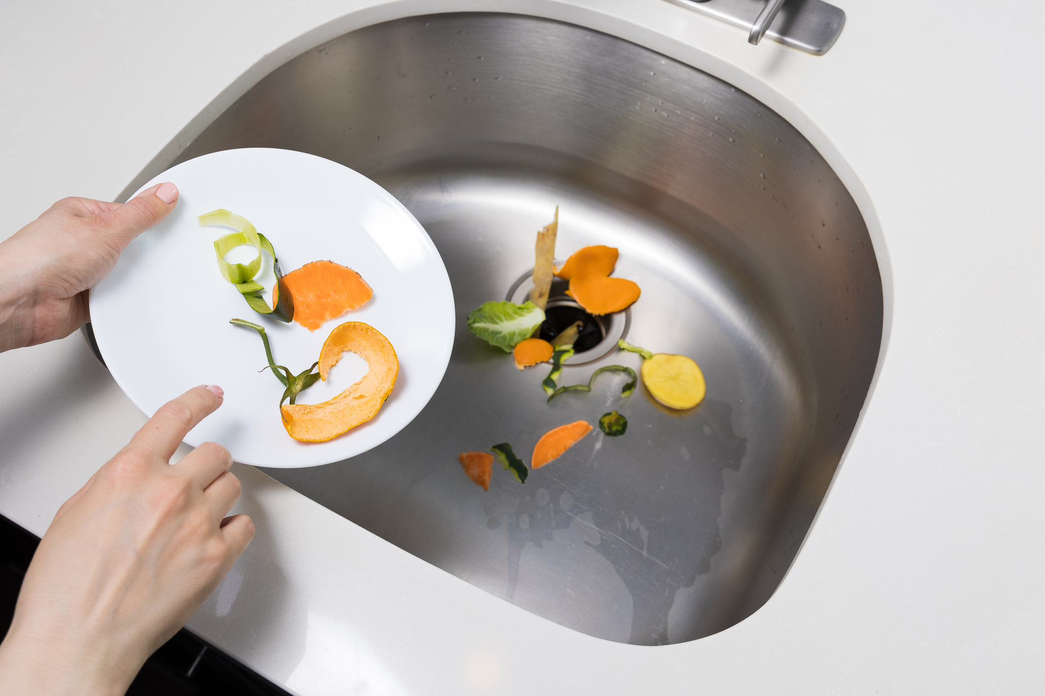 Got Bugs In Your Drains? This Is What You Need To Do. | Peter Levi Plumbing